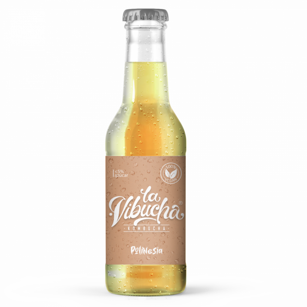 Cómo hacer kombucha en casa paso a paso - Vibucha